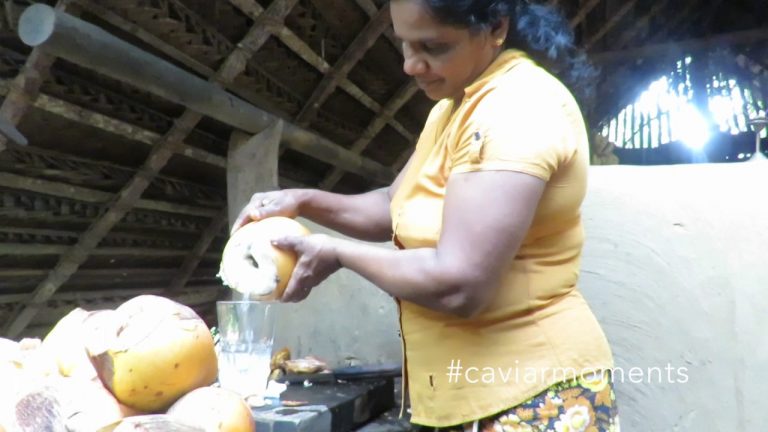 Ulpotha Yoga Retreat: Deep In The Jungle Of Sri Lanka - World Bride ...